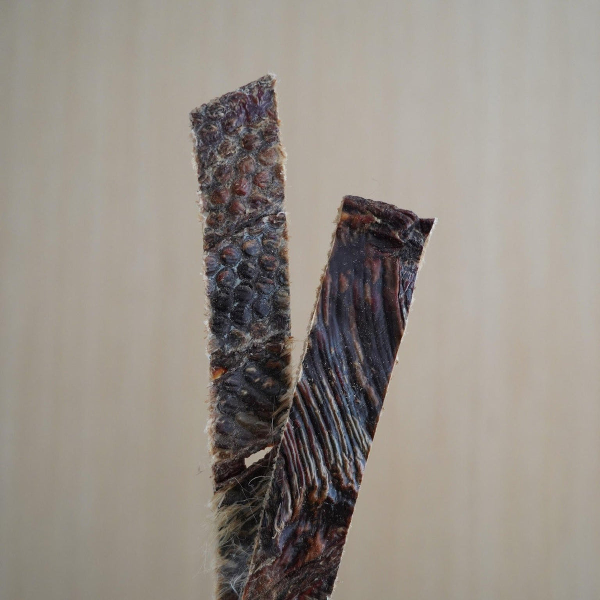 Grass Fed Kangaroo Flap Strips Chew 100g – beige + bright