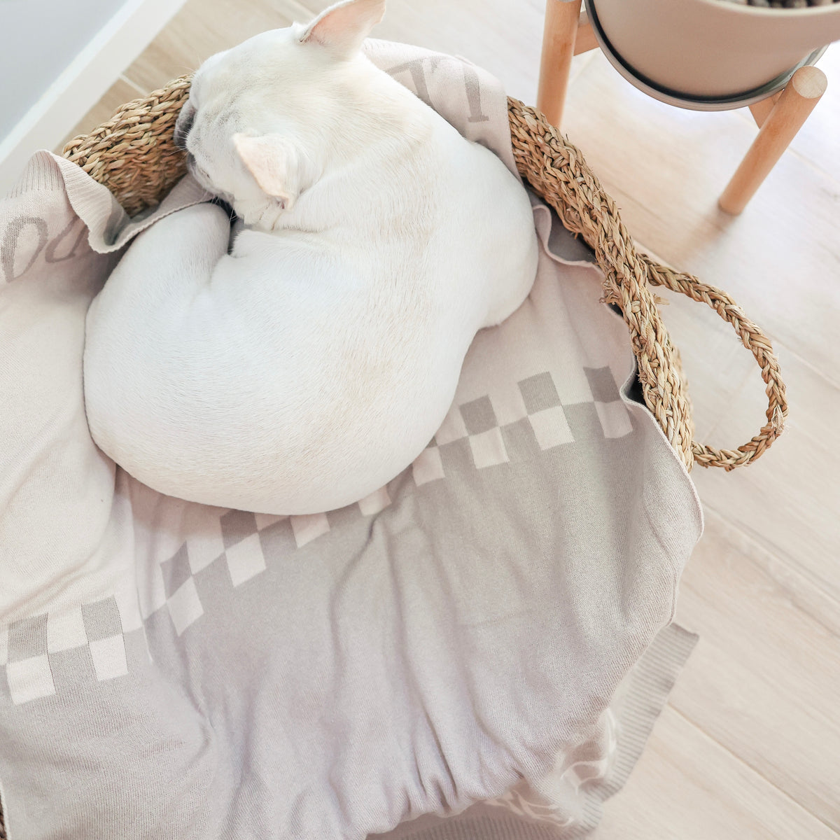 LET DOGS BE DOGS BLANKET // 100% ultra sofa cotton – beige + bright